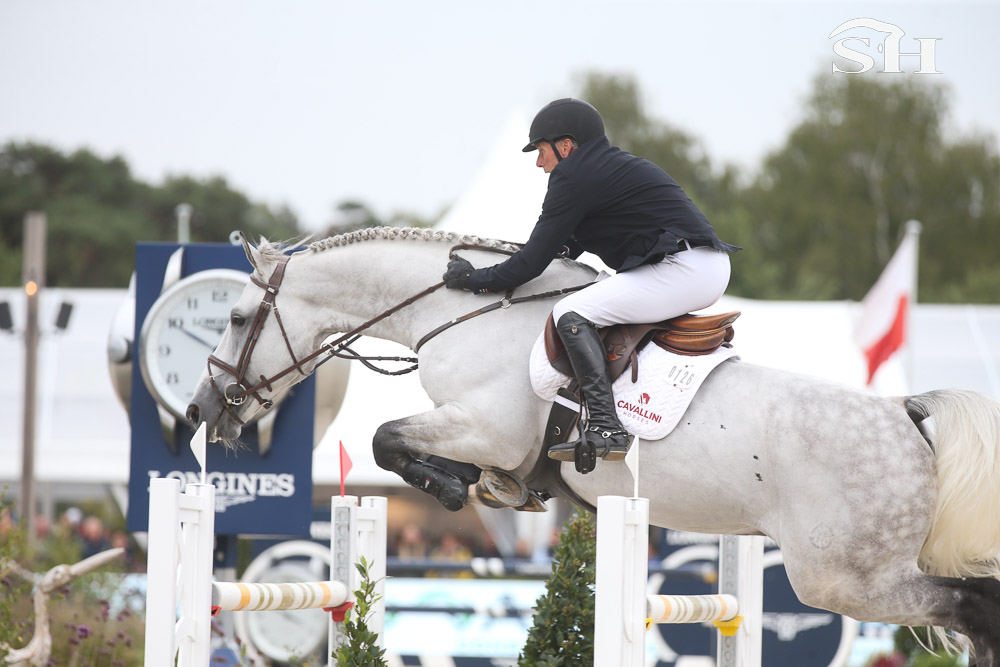 Drako de Maugre, Sires 2022 — So Horse