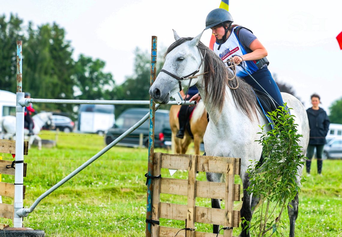 Le TREC, c’est quoi ce truc? — So Horse