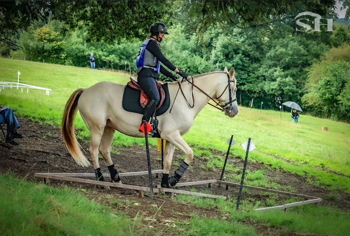 Le TREC, c’est quoi ce truc? — So Horse