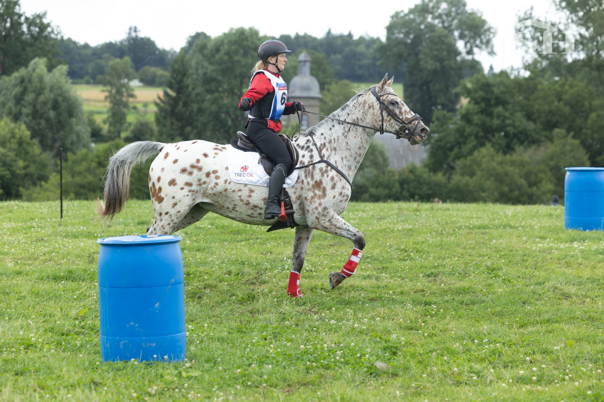 Le TREC, c’est quoi ce truc? — So Horse