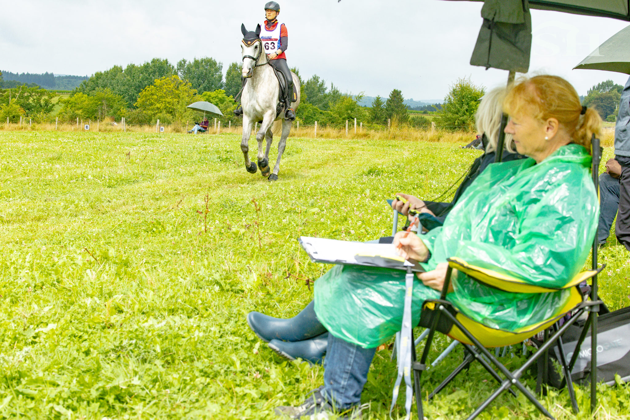 Le TREC, c’est quoi ce truc? — So Horse