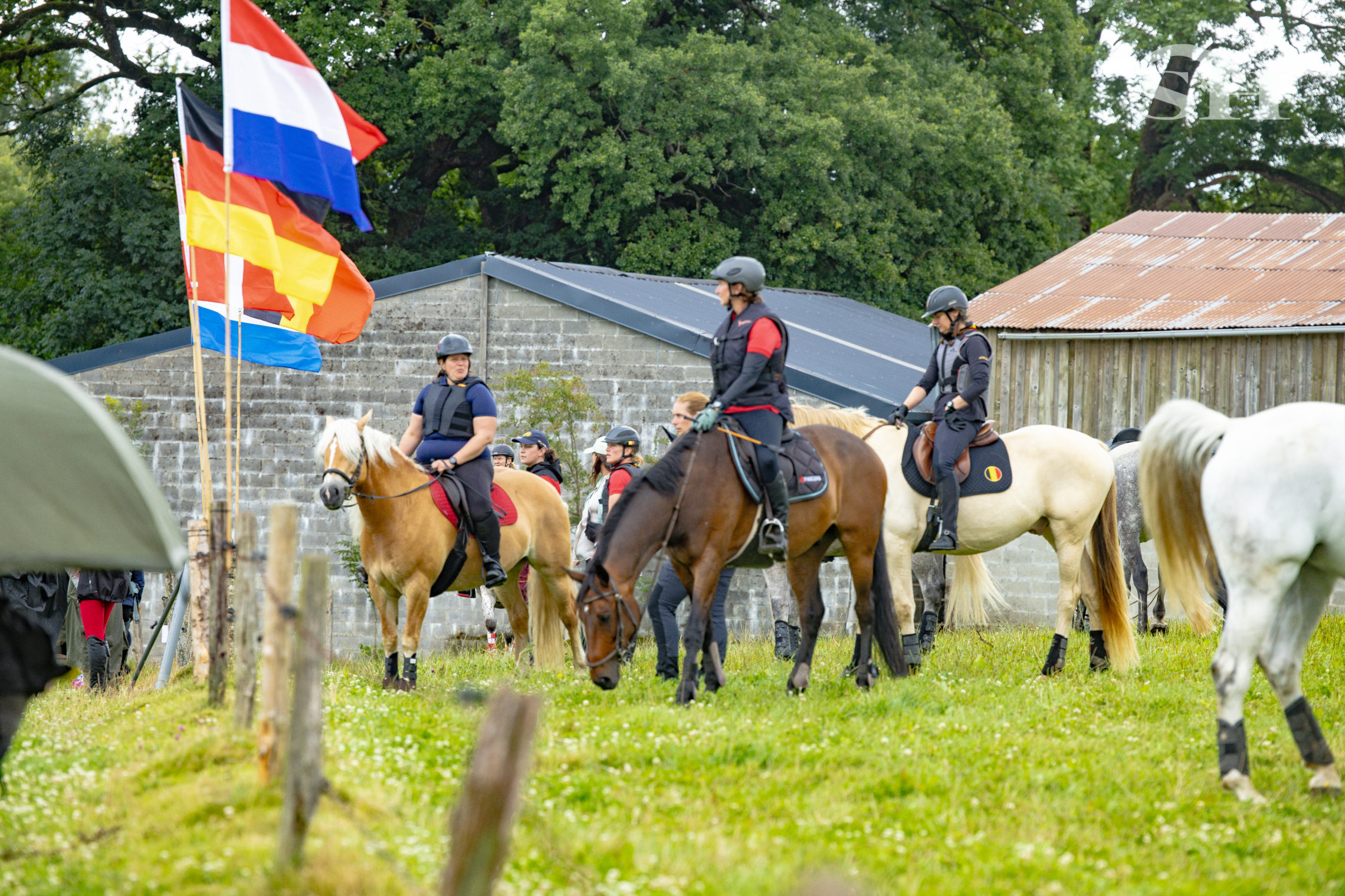 Le TREC, c’est quoi ce truc? — So Horse