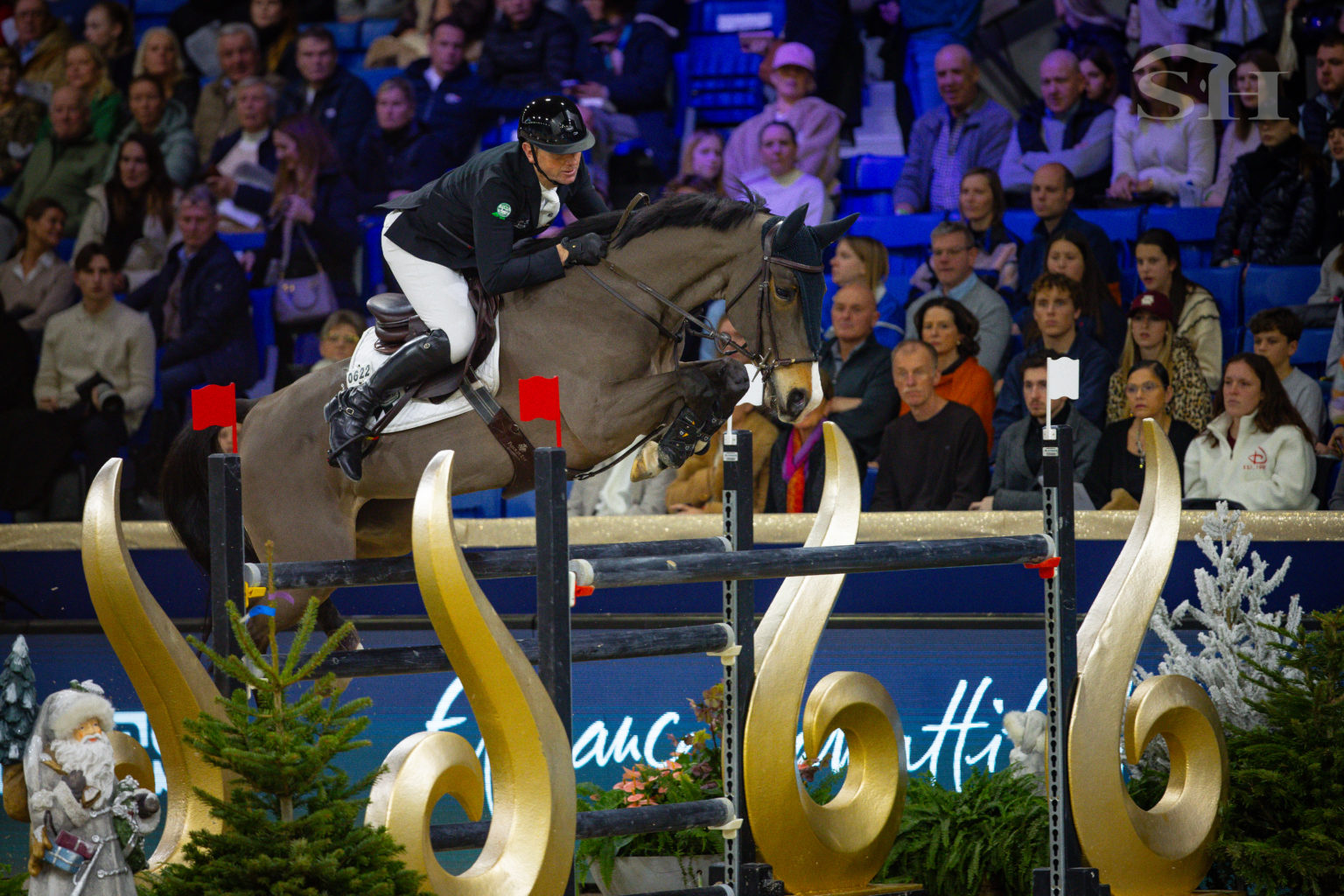 Koen Vereecke et Oilily de Muze une histoire de performance. — So Horse